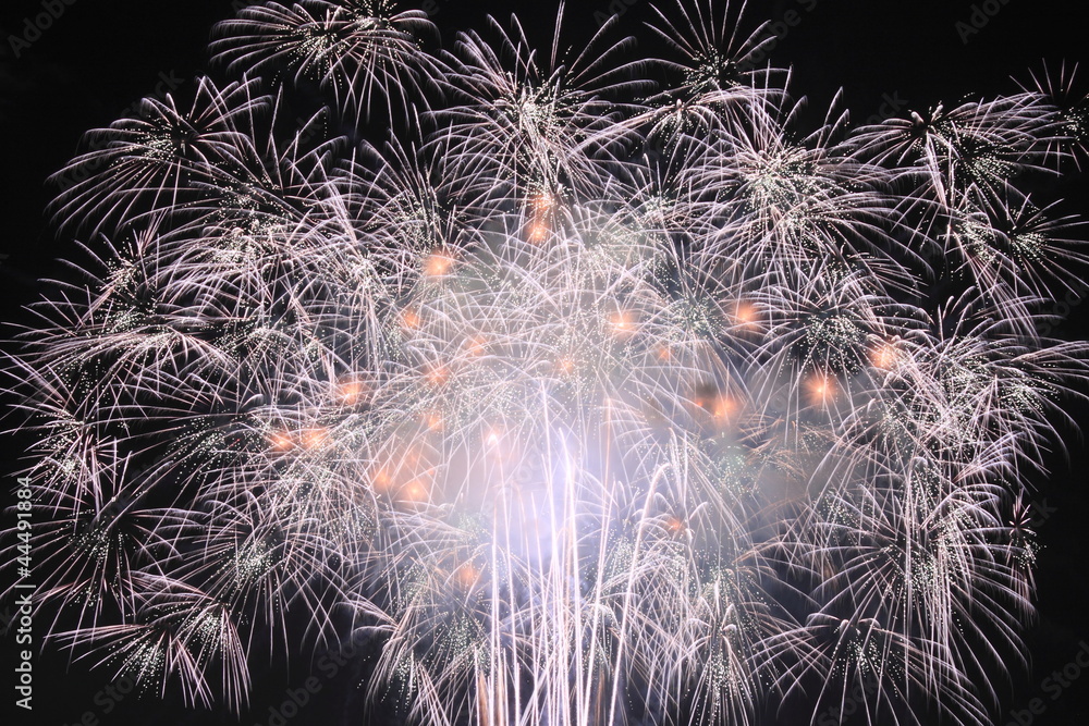 Japanese traditional fireworks in the night sky Stock Photo | Adobe Stock