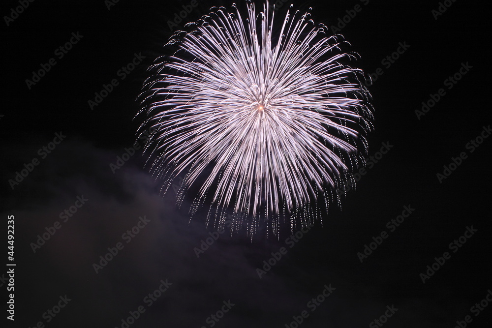 Japanese traditional fireworks in the night sky Stock Photo | Adobe Stock