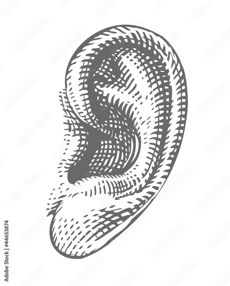 Human ear in engraved style Stock Vector | Adobe Stock