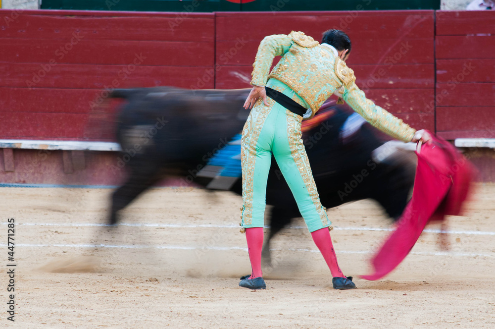 torero foto de Stock | Adobe Stock