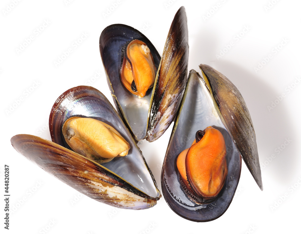 Choros. foto de Stock | Adobe Stock