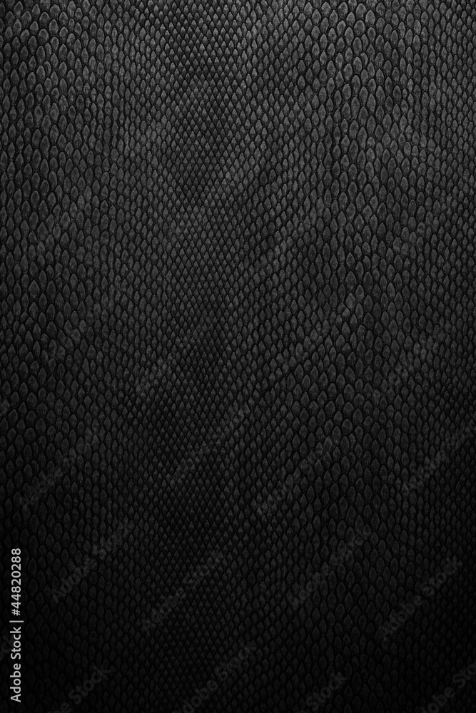 black texture Stock Photo | Adobe Stock