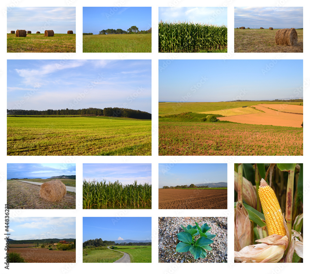 Collage de paisajes rurales Stock Photo | Adobe Stock