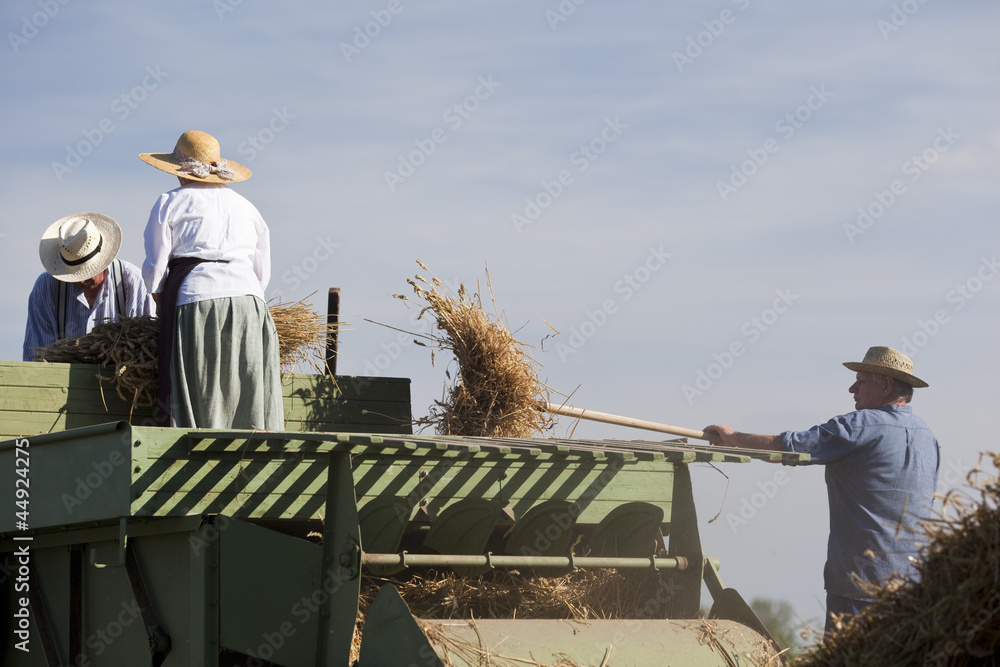 Feldarbeit Stock-Foto | Adobe Stock