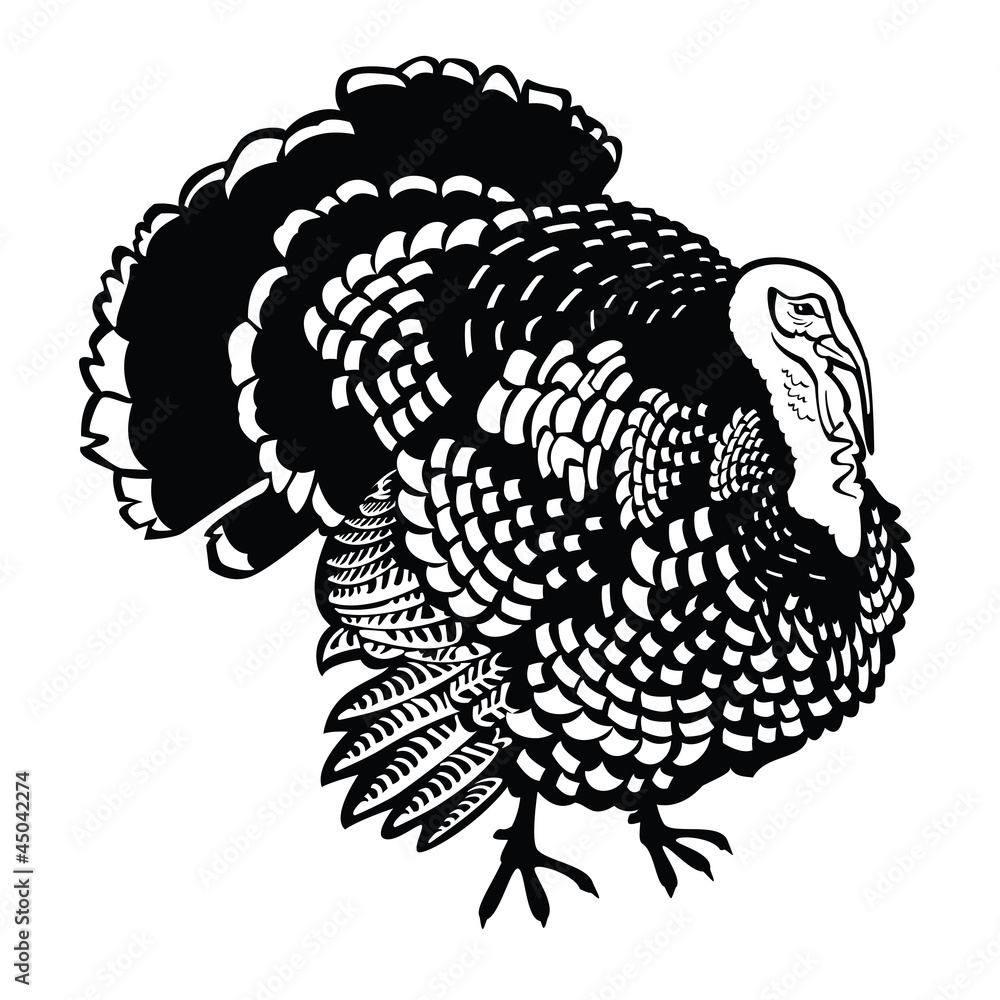 standing turkey black and white Stock Vector | Adobe Stock