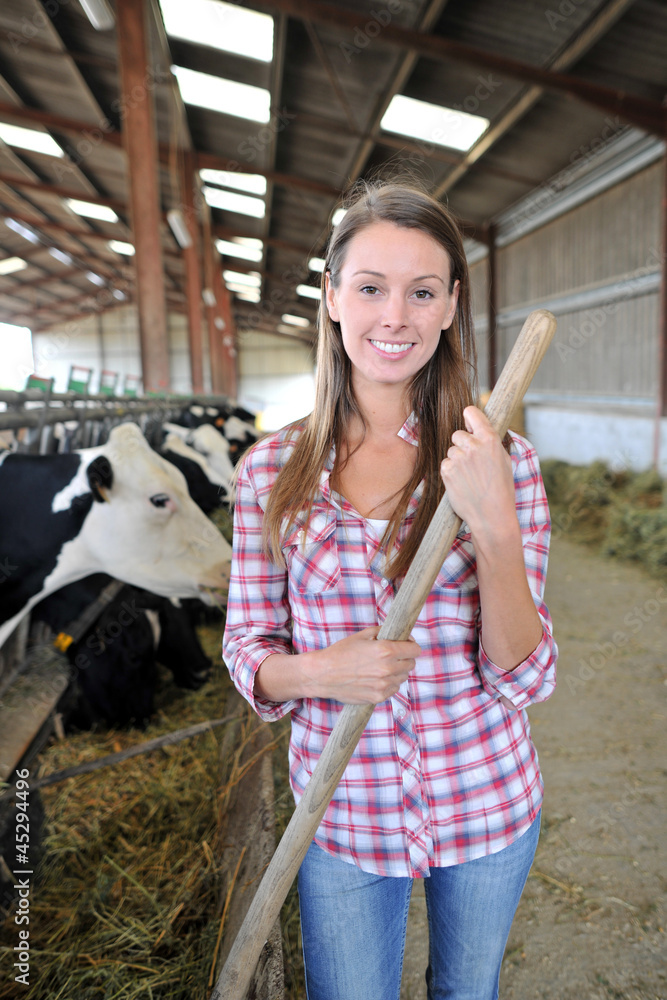Smiling breeder woman giving food to cows Stock Photo | Adobe Stock
