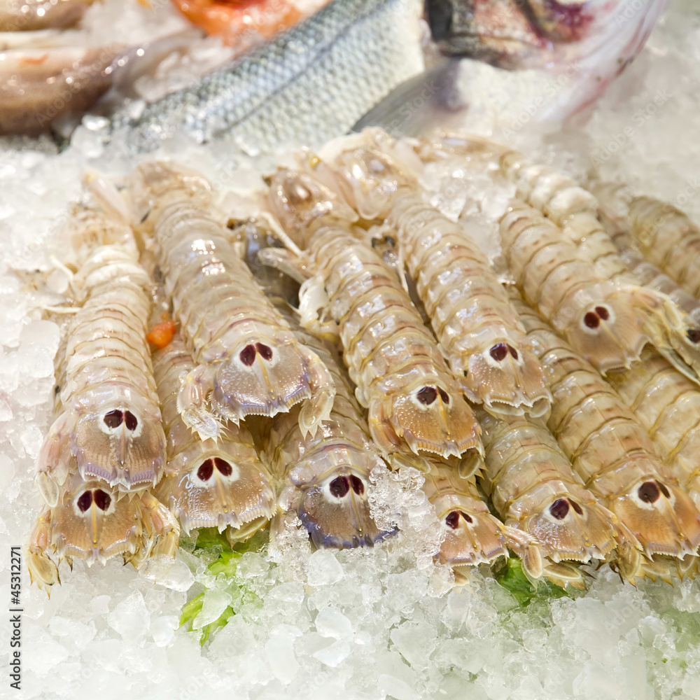 Cicale di mare, Scyllarus arctus foto de Stock | Adobe Stock