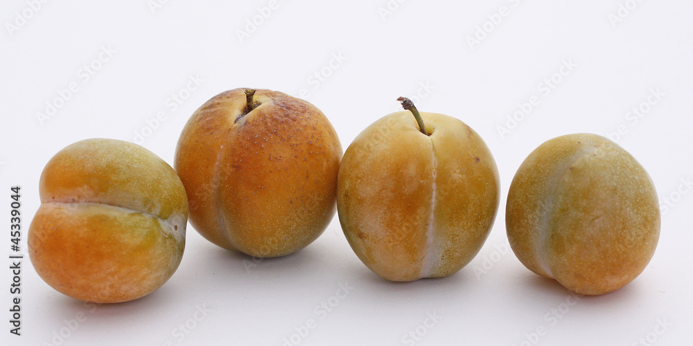 4 reines claude Stock Photo | Adobe Stock