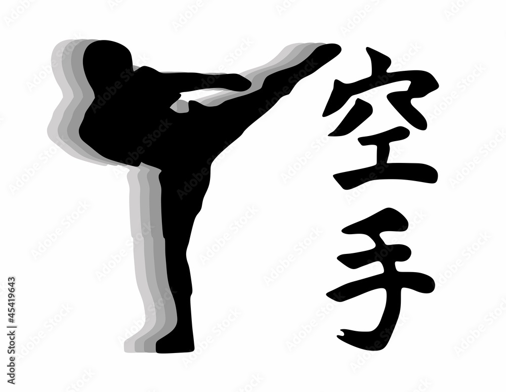 Karate fighter - high kick vector Stock Vector | Adobe Stock