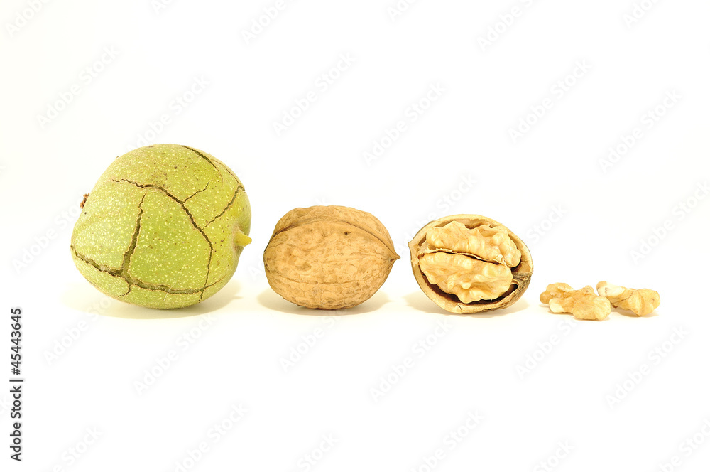 Nuez fruto seco foto de Stock | Adobe Stock