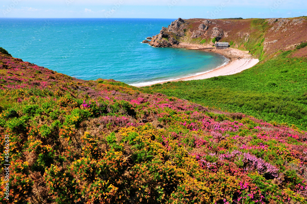 Plage du Cap d'Erquy en Bretagne Stock Photo | Adobe Stock