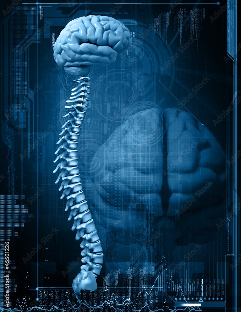 abstract design with the brain and the spine Stock Illustration | Adobe ...