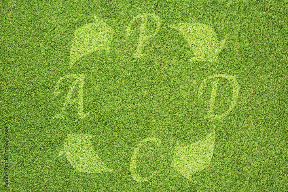 PDCA (Plan Do Check Act) icon on grass background Stock-Illustration ...