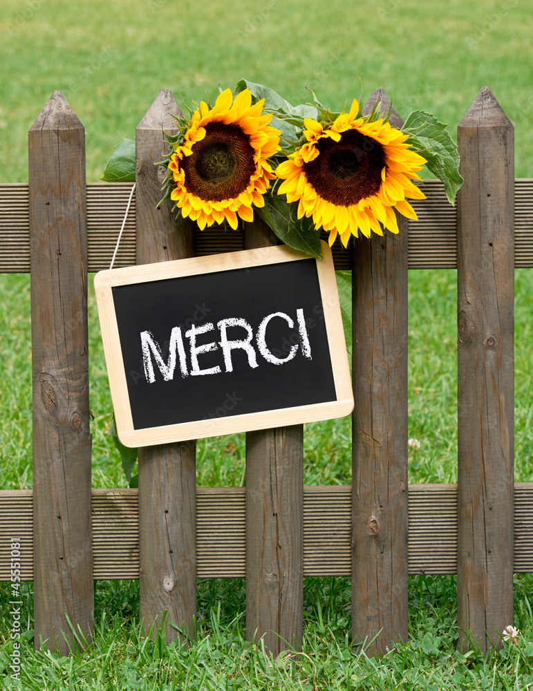 Merci Stock Photo | Adobe Stock