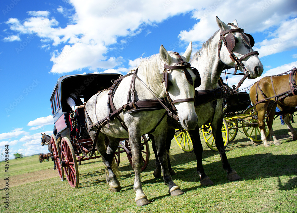 Carroza antigua Stock Photo | Adobe Stock