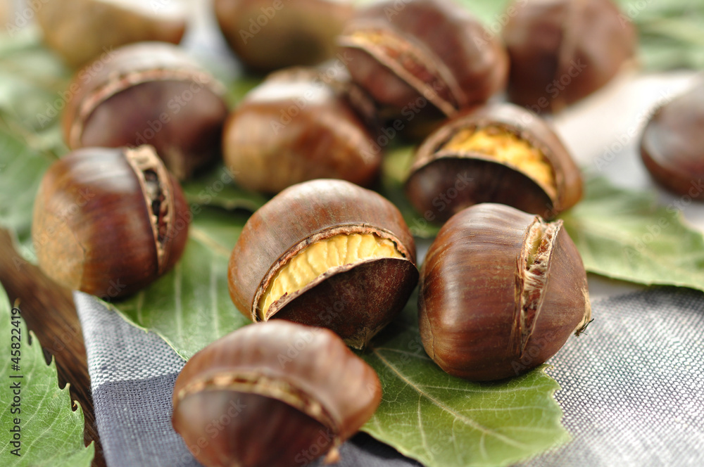 Edelkastanien, Blätter Stock-Foto | Adobe Stock