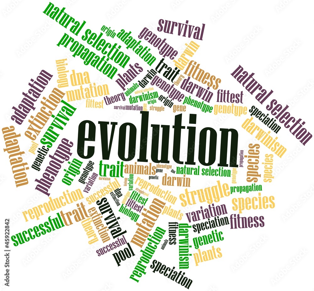 Word cloud for Evolution Stock Illustration | Adobe Stock