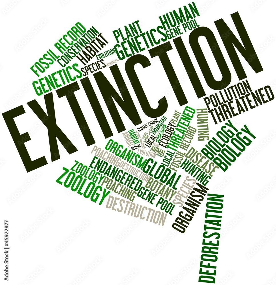 Word cloud for Extinction Stock Illustration | Adobe Stock