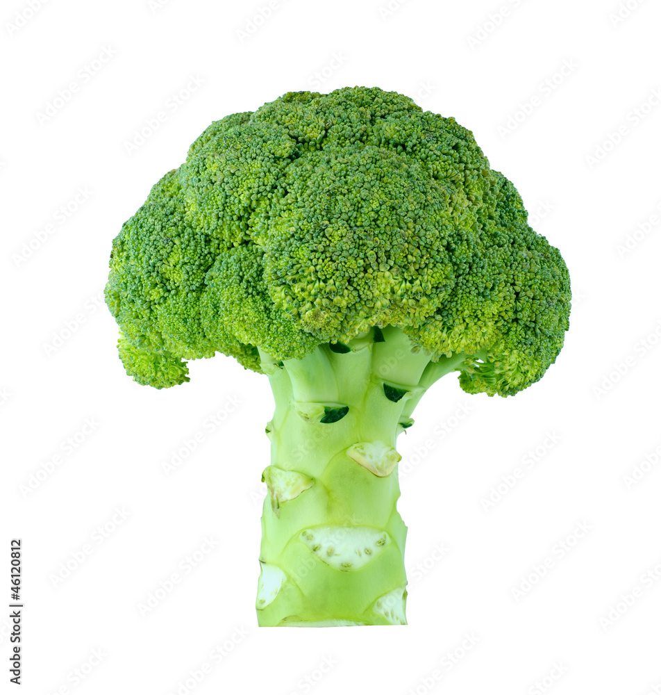 broccoli Stock Photo | Adobe Stock
