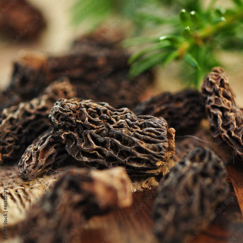 Edelpilze Stock-Foto | Adobe Stock