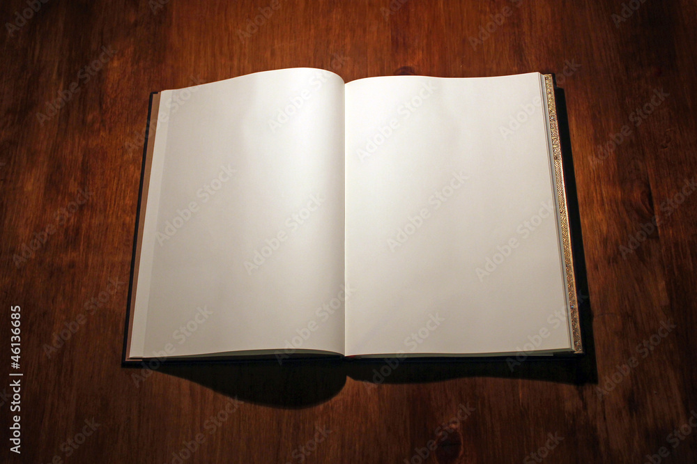 Libro abierto en blanco Stock Photo | Adobe Stock