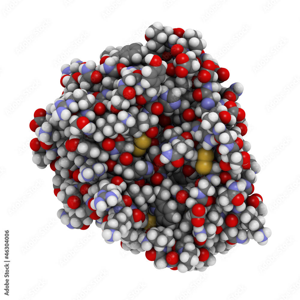 trypsin enzyme molecule, chemical structure. Stock Illustration | Adobe ...