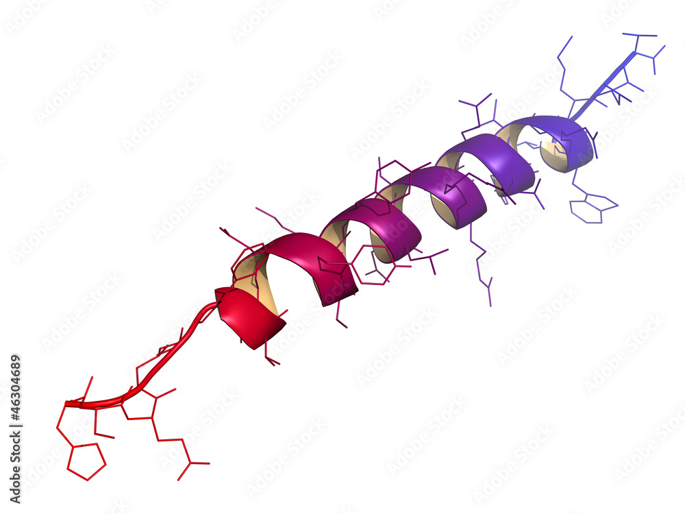 Glucagon peptide hormone molecule, chemical structure Stock ...