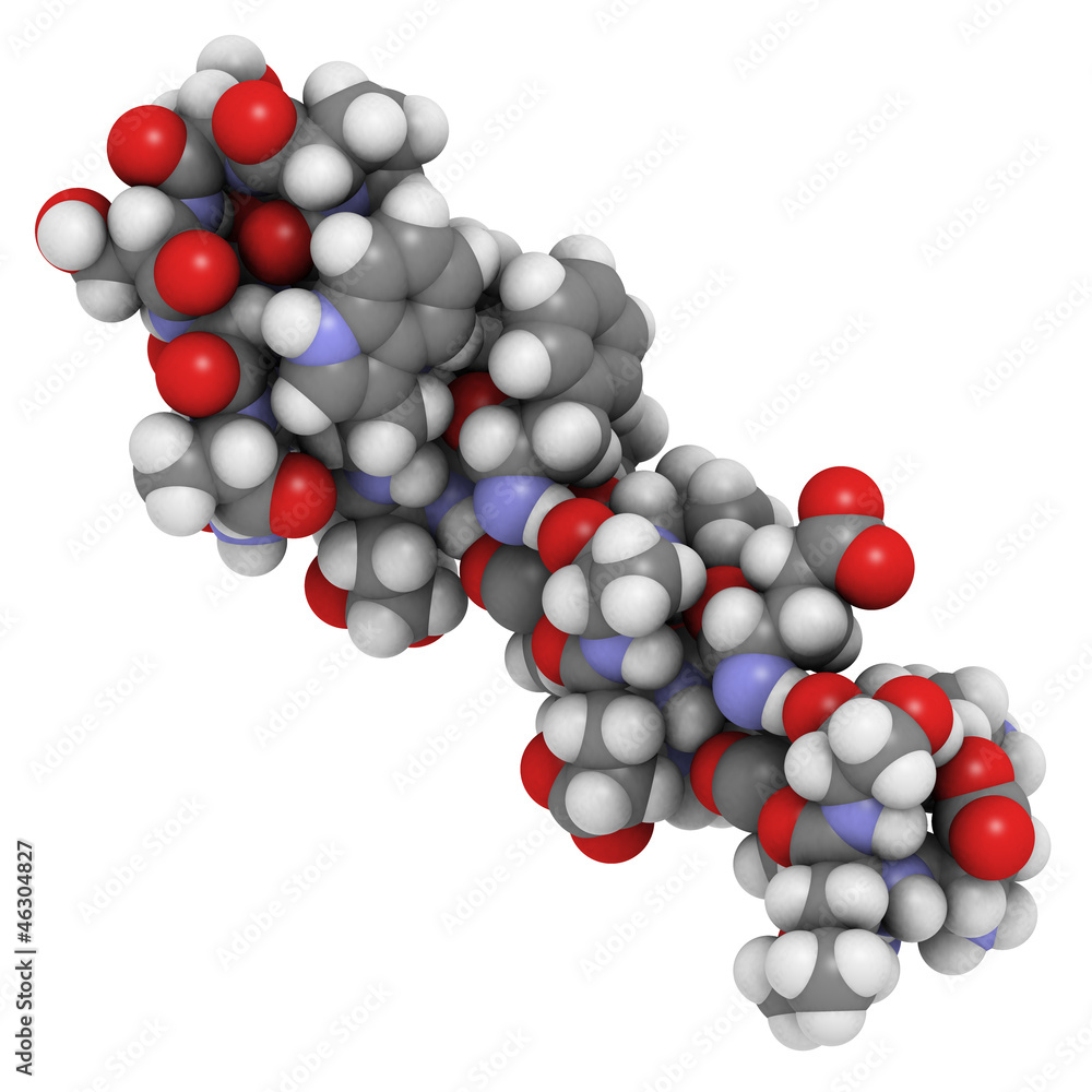Exendin-4 (exenatide) molecule, chemical structure Stock Illustration ...