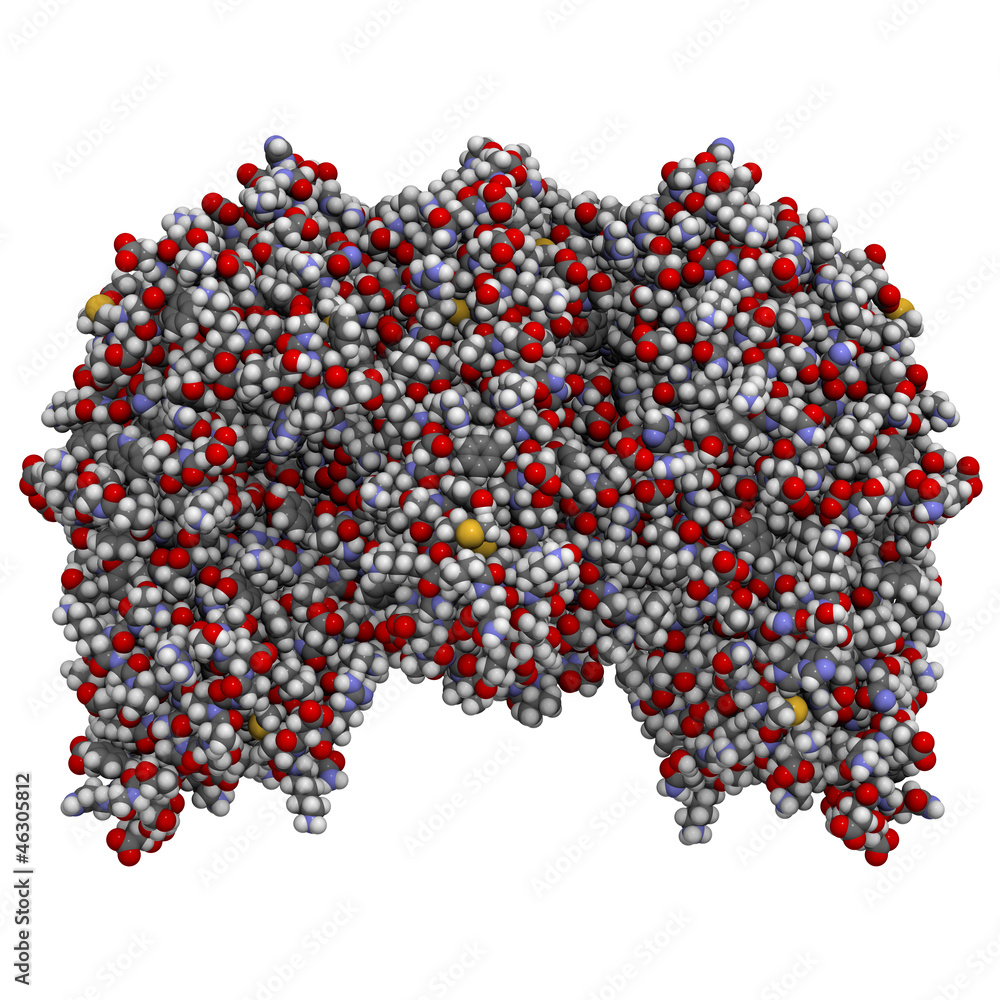 Prostate-specific membrane antigen (PSMA), chemical structure ...