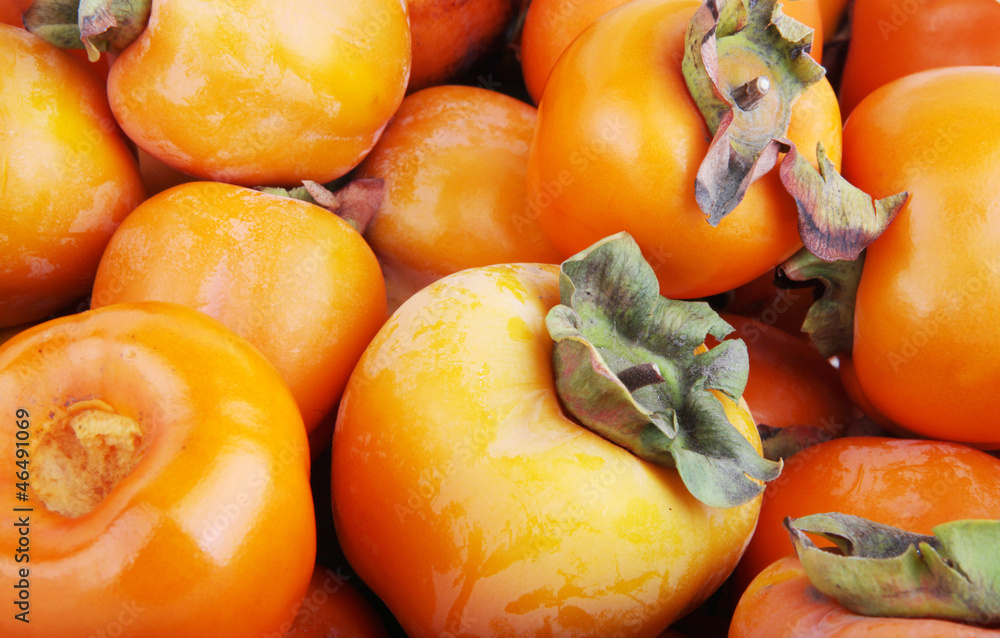 Photo & Art Print persimmon, Nenov Brothers