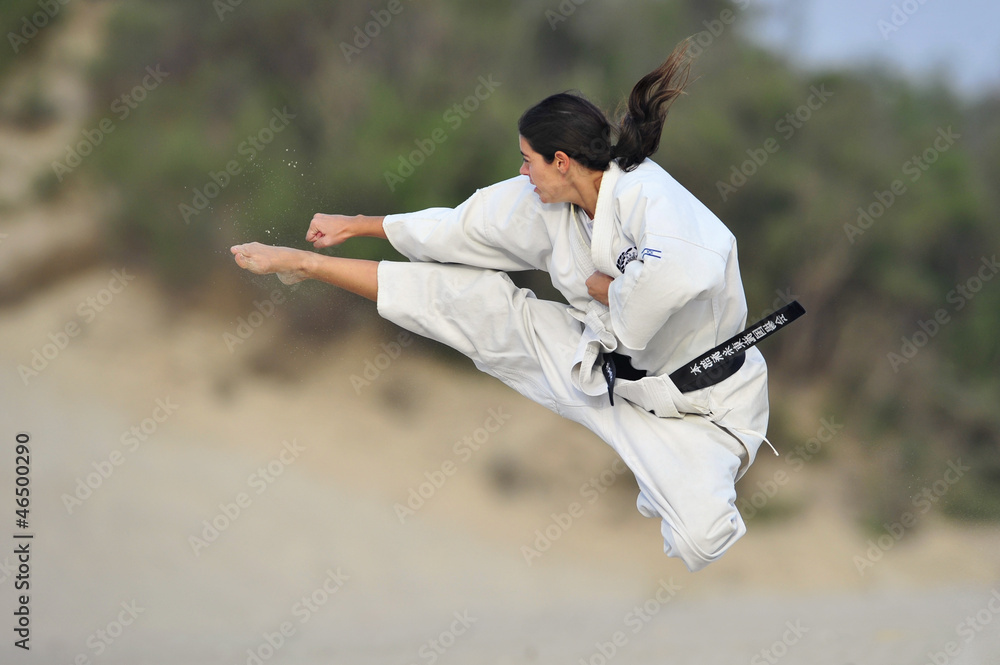 Karate Jump Kick