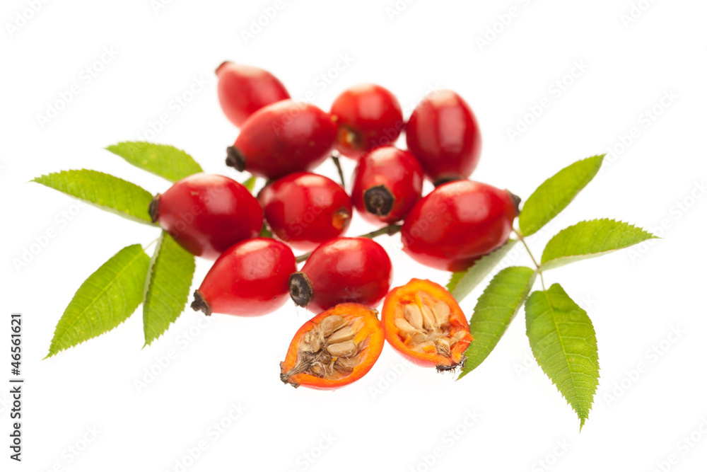 Frische Hagebutten vor weißem Hintergrund Stock Photo | Adobe Stock