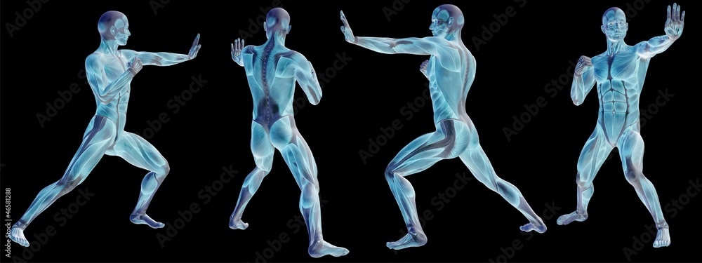 High resolution conceptual human 3D anatomy body with muscle Stock ...