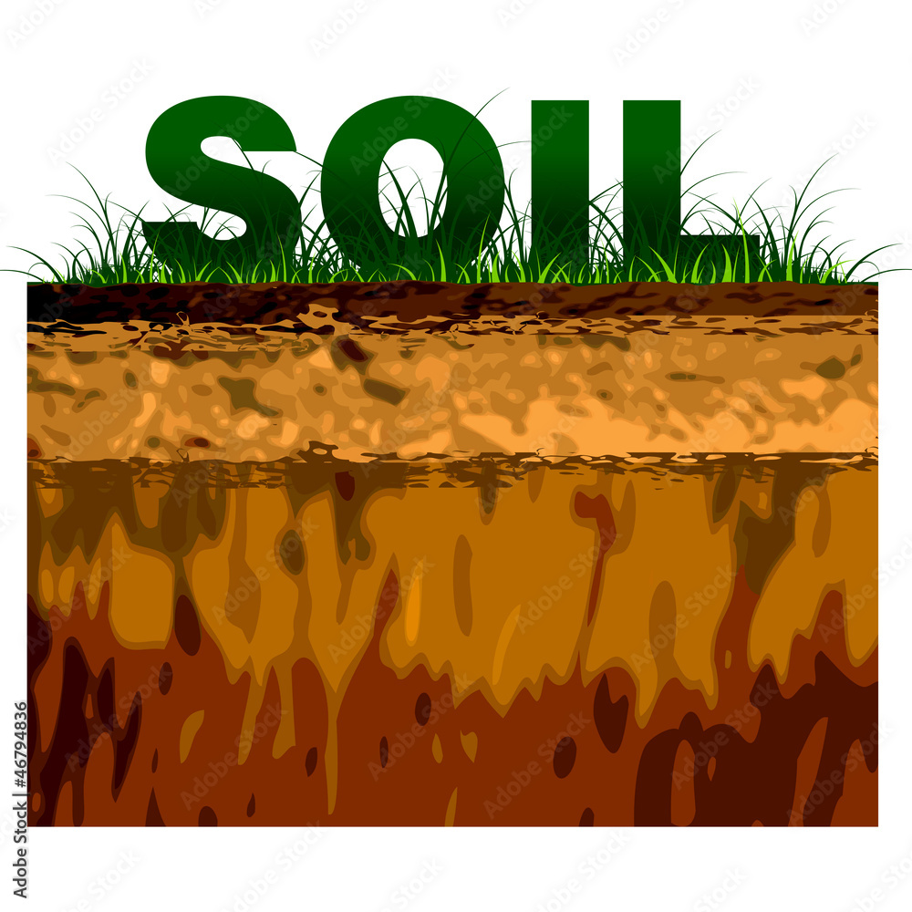 structure of soil Stock Vector | Adobe Stock