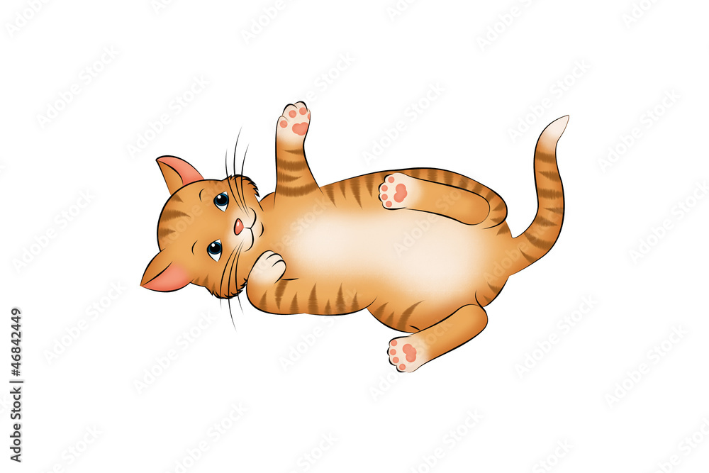 spielende Katze liegend Stock-Illustration | Adobe Stock