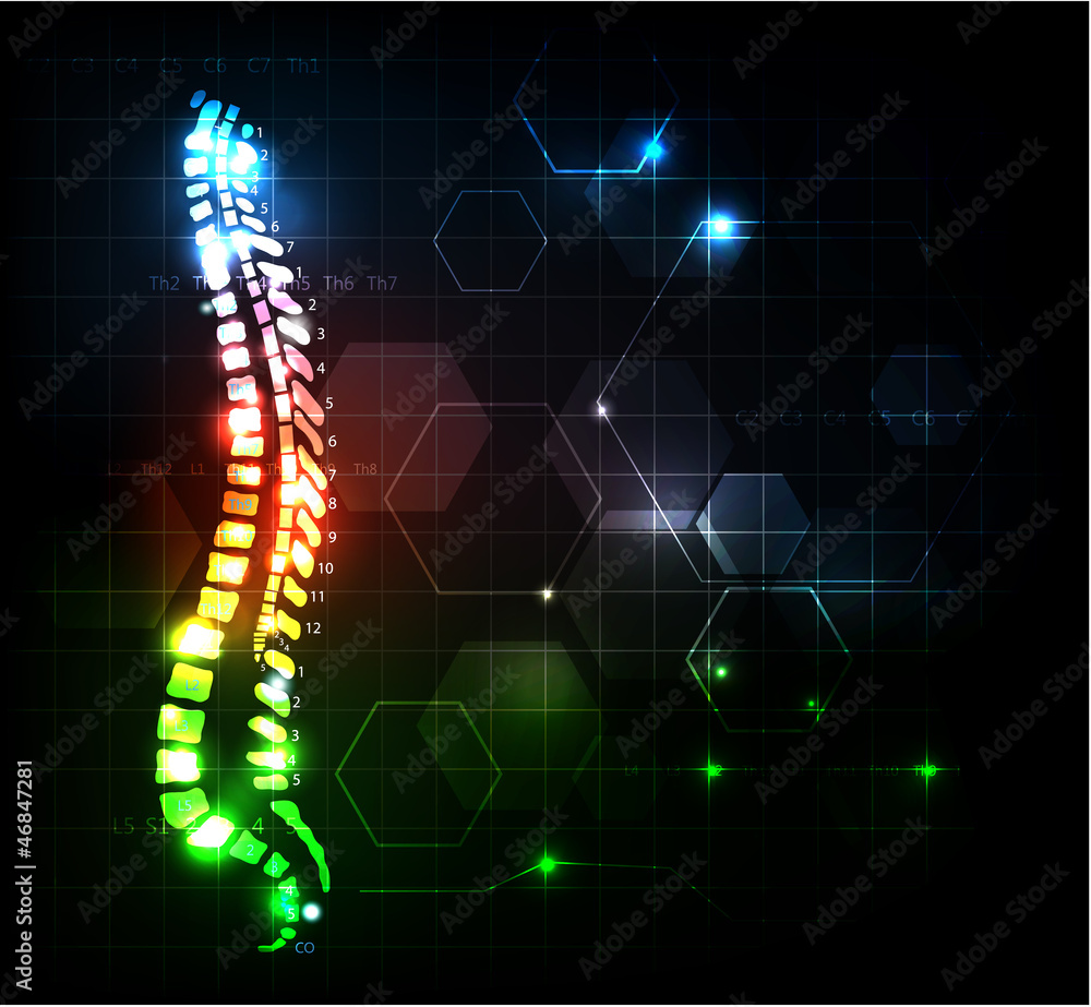 Abstract medical background with human spine anatomy. Stock Vector ...