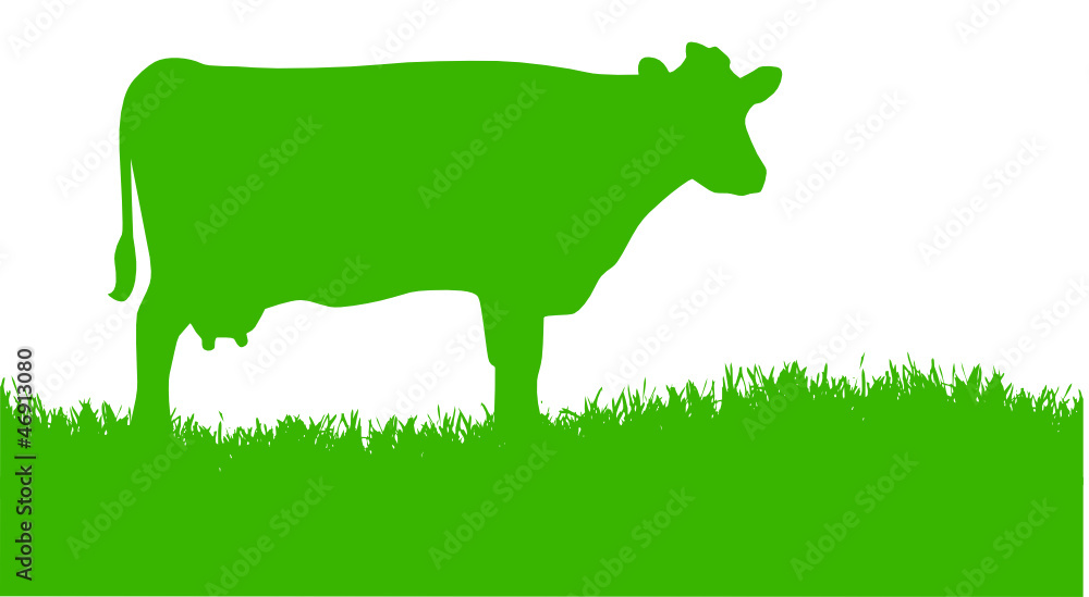 Kuh Stock-Vektorgrafik | Adobe Stock