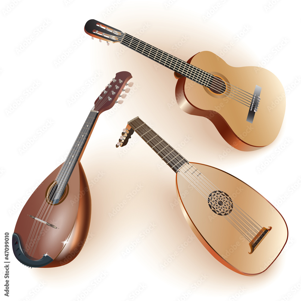 String Instruments Family