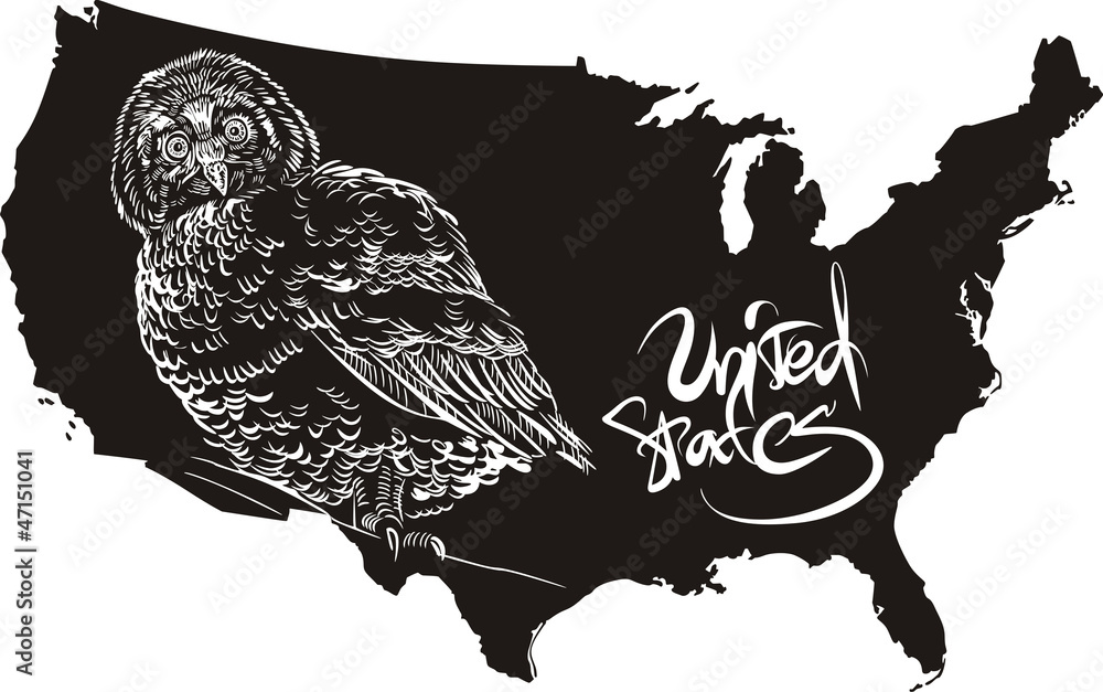 Elf owl and U.S. outline map Stock Vector | Adobe Stock