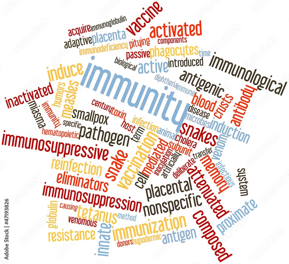 Word cloud for Immunity Stock Illustration | Adobe Stock