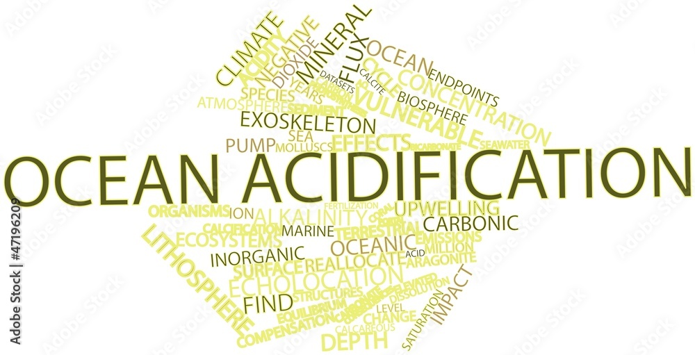 Word cloud for Ocean acidification Stock Illustration | Adobe Stock