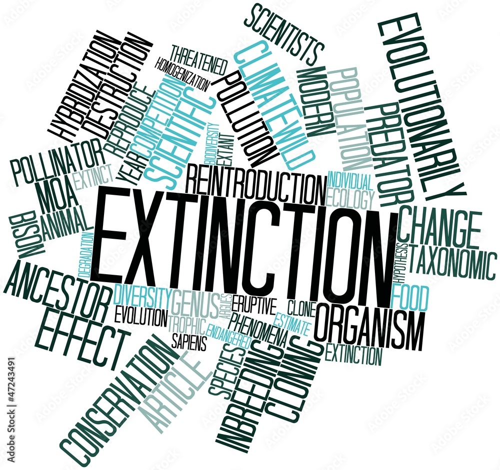 Word cloud for Extinction Stock Illustration | Adobe Stock