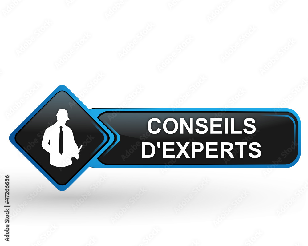 conseils d'experts sur bouton web carré design bleu Stock Vector ...