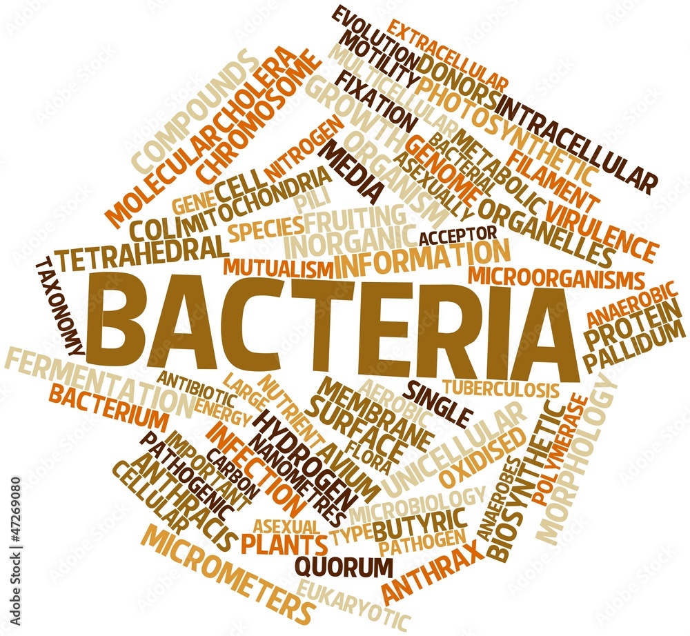 Word cloud for Bacteria Stock Illustration | Adobe Stock