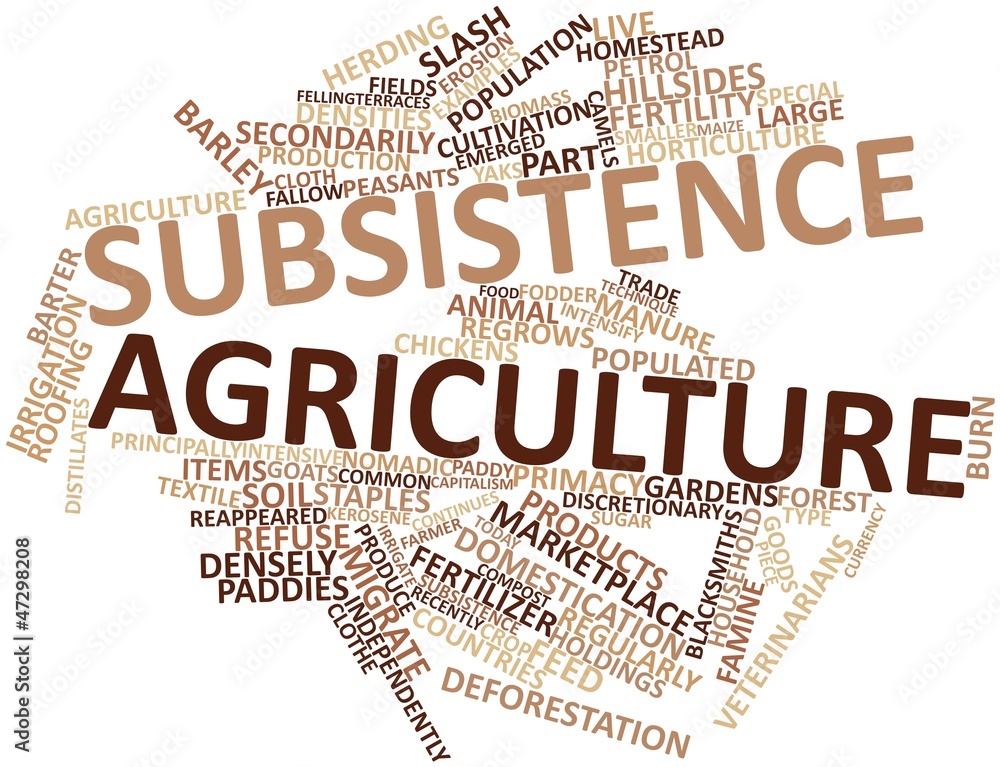 Word cloud for Subsistence agriculture Stock Illustration | Adobe Stock