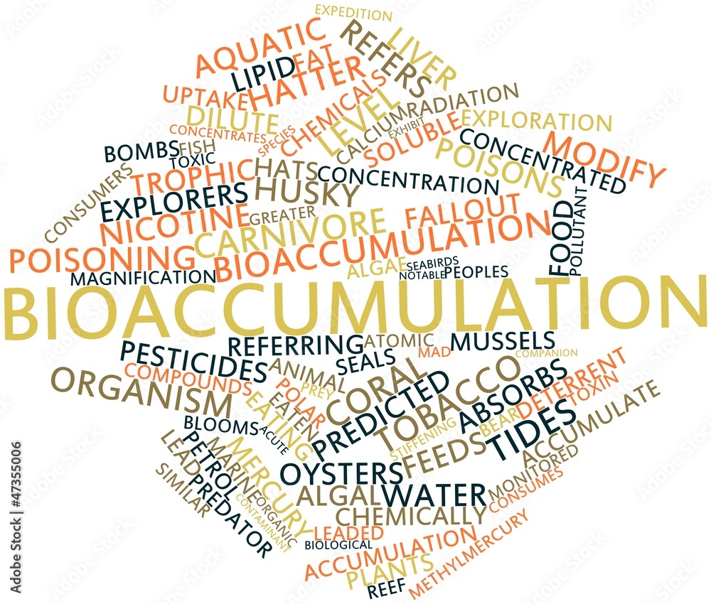 Word cloud for Bioaccumulation Stock Illustration | Adobe Stock