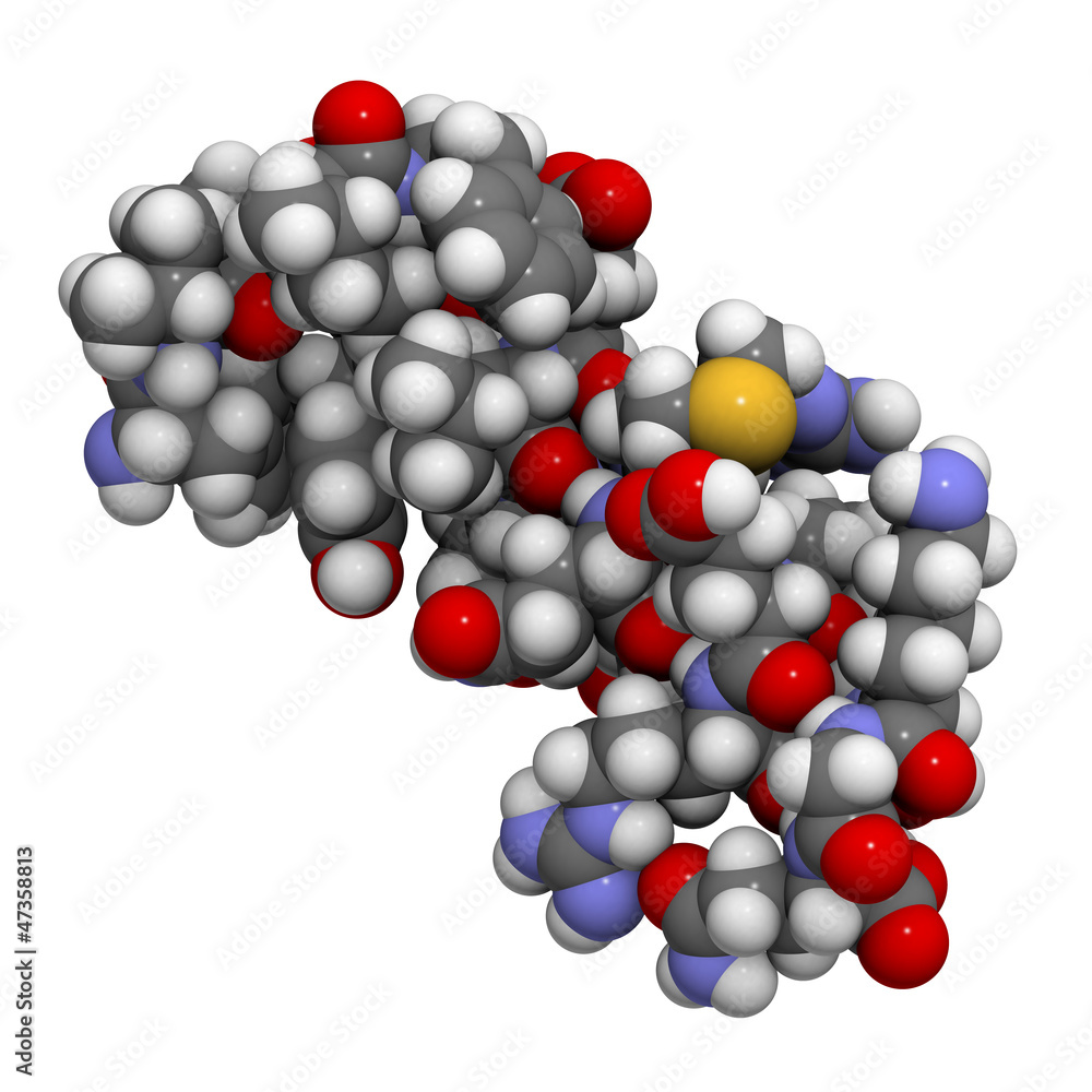 Motilin Polypeptide Hormone Molecule Chemical Structure Stock Illustration Adobe Stock