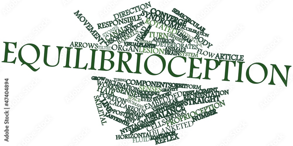 Word cloud for Equilibrioception Stock Illustration | Adobe Stock