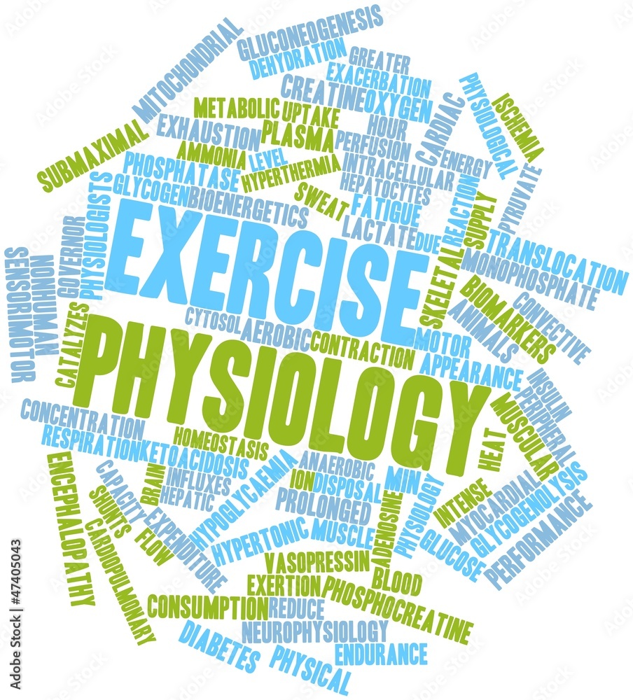 Word cloud for Exercise physiology Stock Illustration | Adobe Stock
