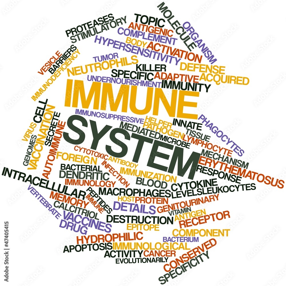 Word cloud for Immune system Stock Illustration | Adobe Stock
